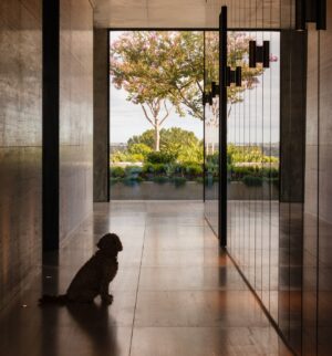 About - Piccolo House